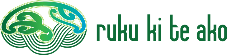 Blog | Ruku ki te Ako - Dive into Learning